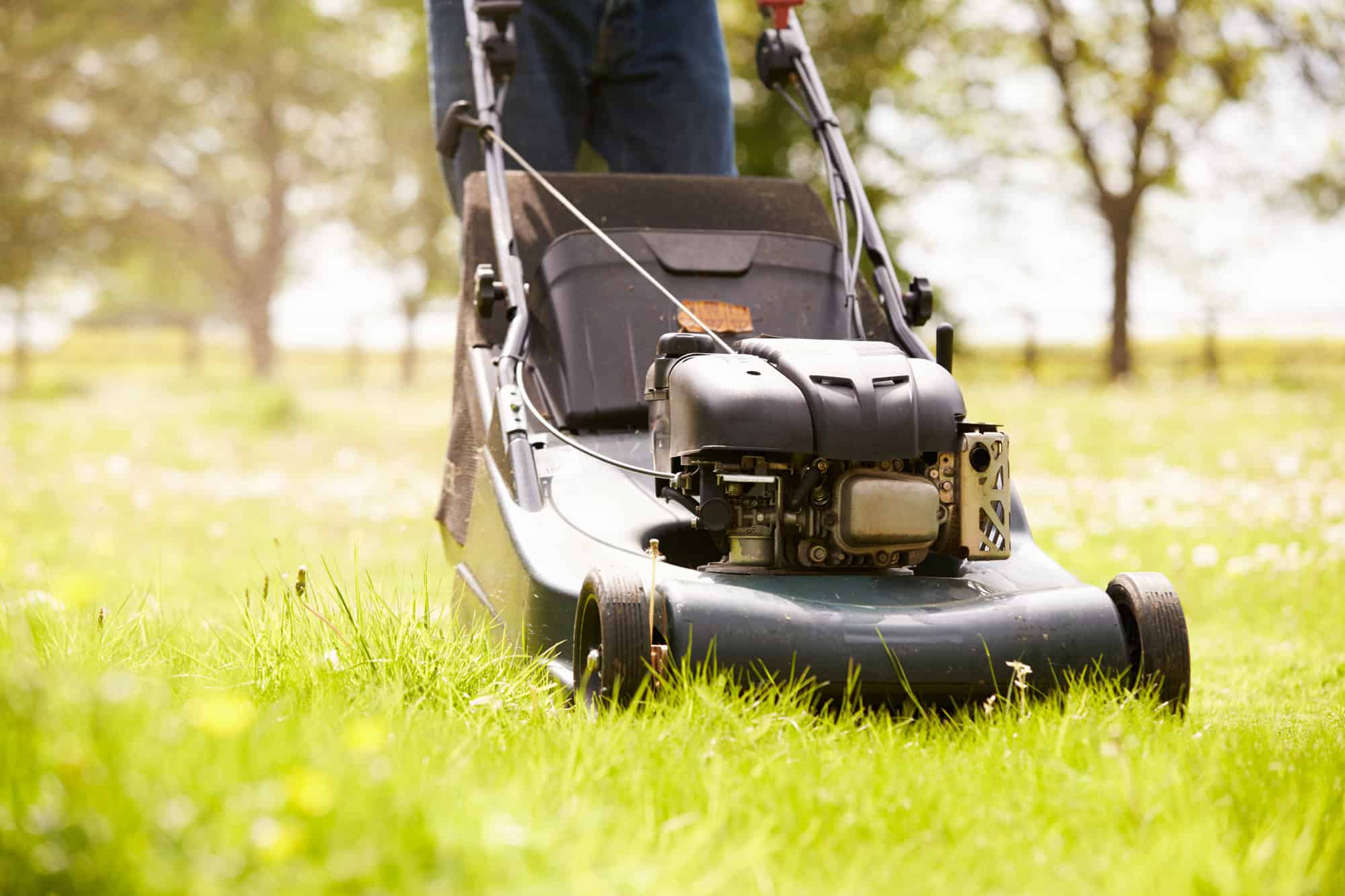 Why mower deck width decides whether mowing takes 20 minutes or an hour