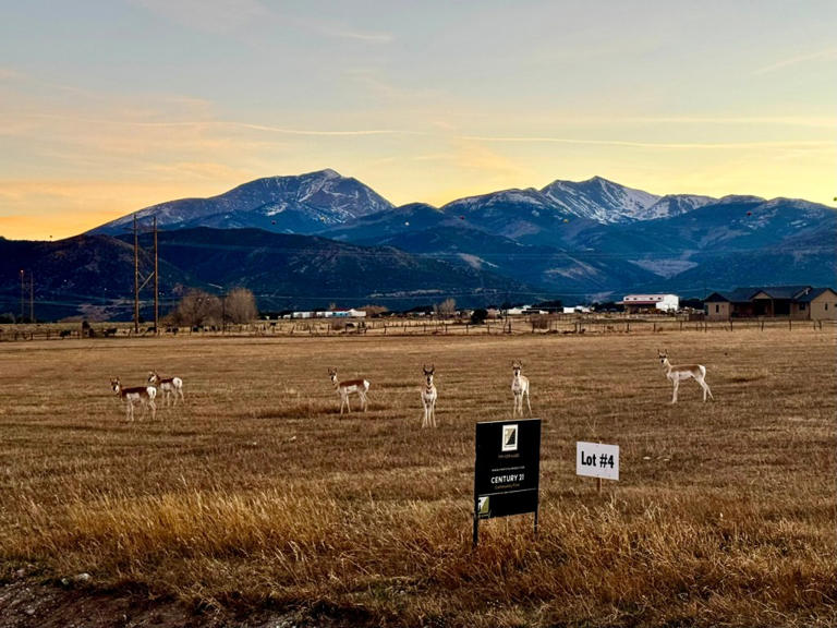 Now rural communities are connecting, rather than just preserving ...