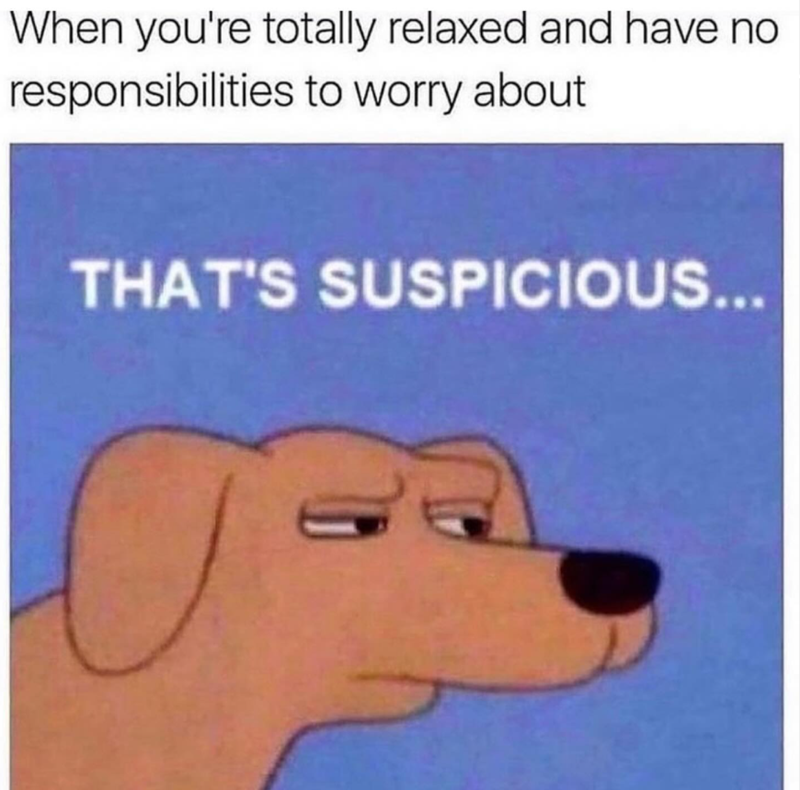 Derpy doggos delivering goofs and gentle woofs