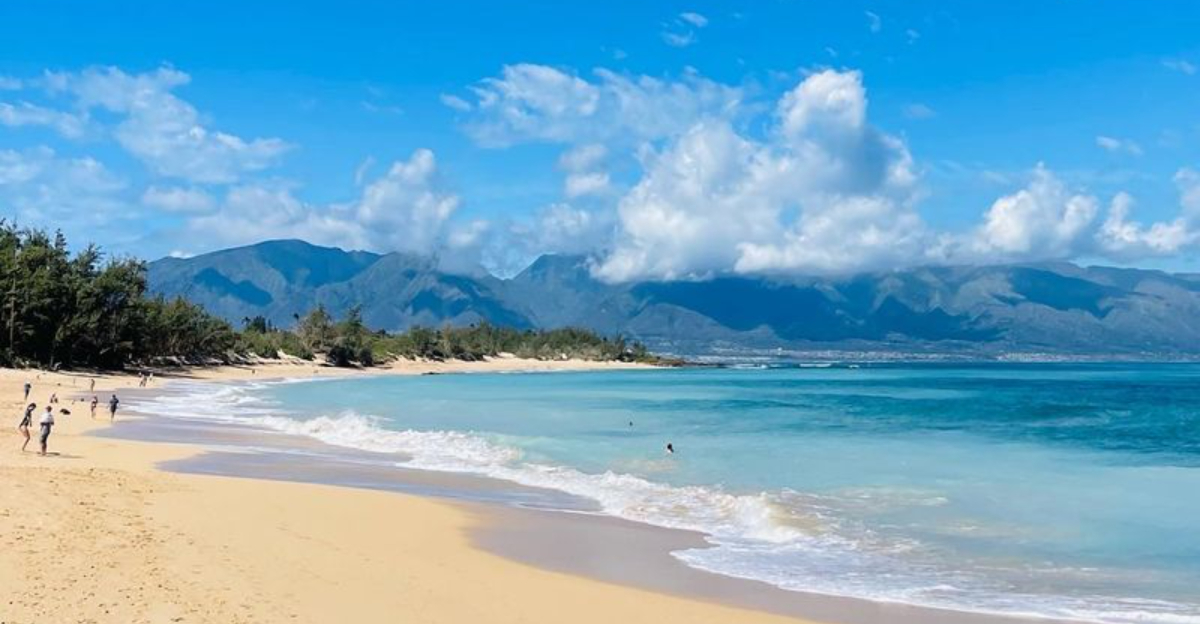 15 Maui beaches worth visiting, from black sand shores to surf breaks