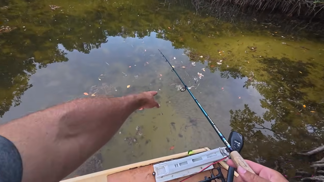 They thought it was just a survival practice until fish started ...