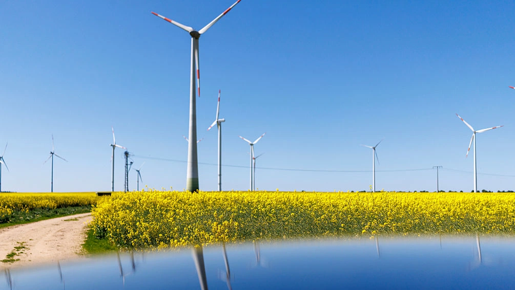 AER announces biggest power bill cuts in years for most eastern states