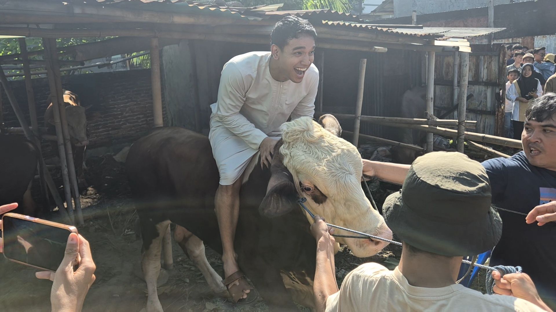 Bikin heboh, Fadly Faisal tunggangi sapi kurban di momen Idul Adha 2026