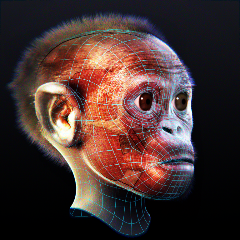 In 1924, a blast in a South African quarry uncovered a tiny skull that ...