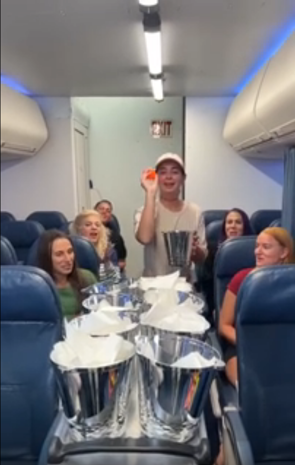 Passengers can’t stop smiling during this plane game