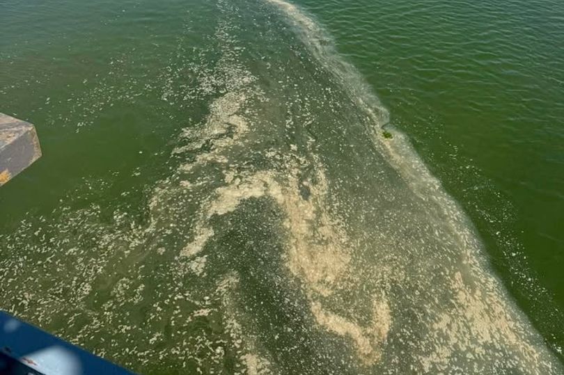 Brown foam in Camel Estuary is not actually sewage, Envoirnment Agency ...
