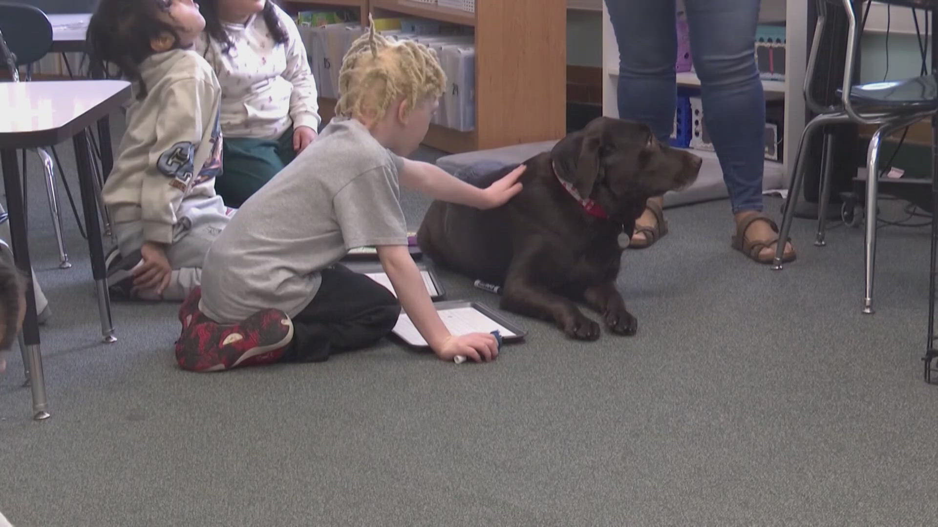 ESA dog brings comfort to Indiana classroom