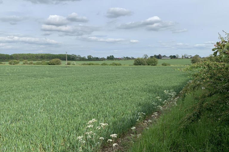 Wragby villagers in uproar over plans for 240,000-chicken farm
