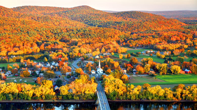 33 New England foods you need to try once
