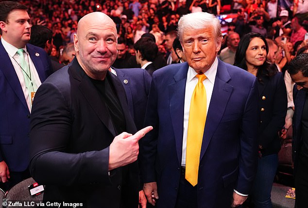 UFC White House arena begins to take shape on South Lawn ahead of ...