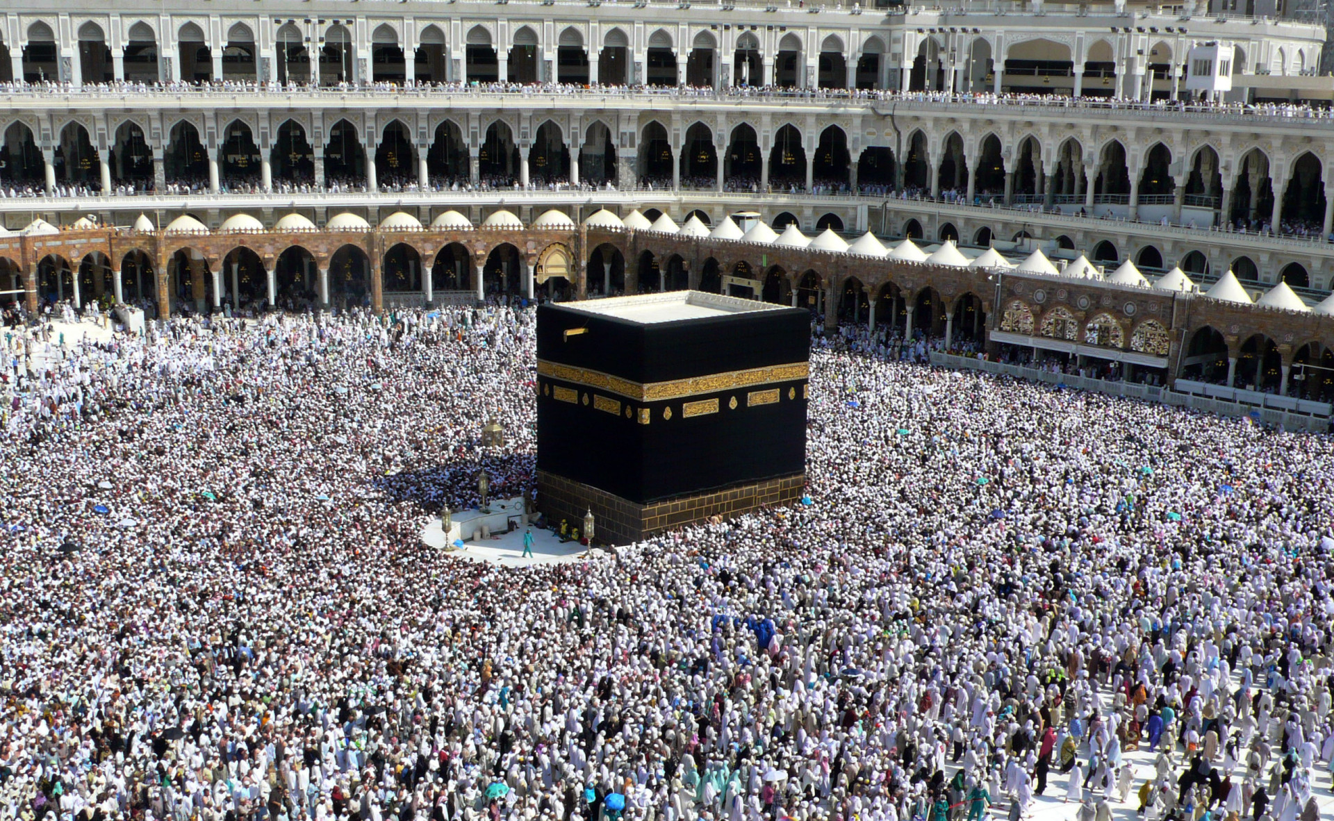 The longest and largest of anything on Earth