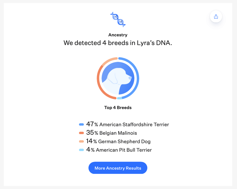 Are dog DNA kits worth their expensive price tags – and can you trust ...