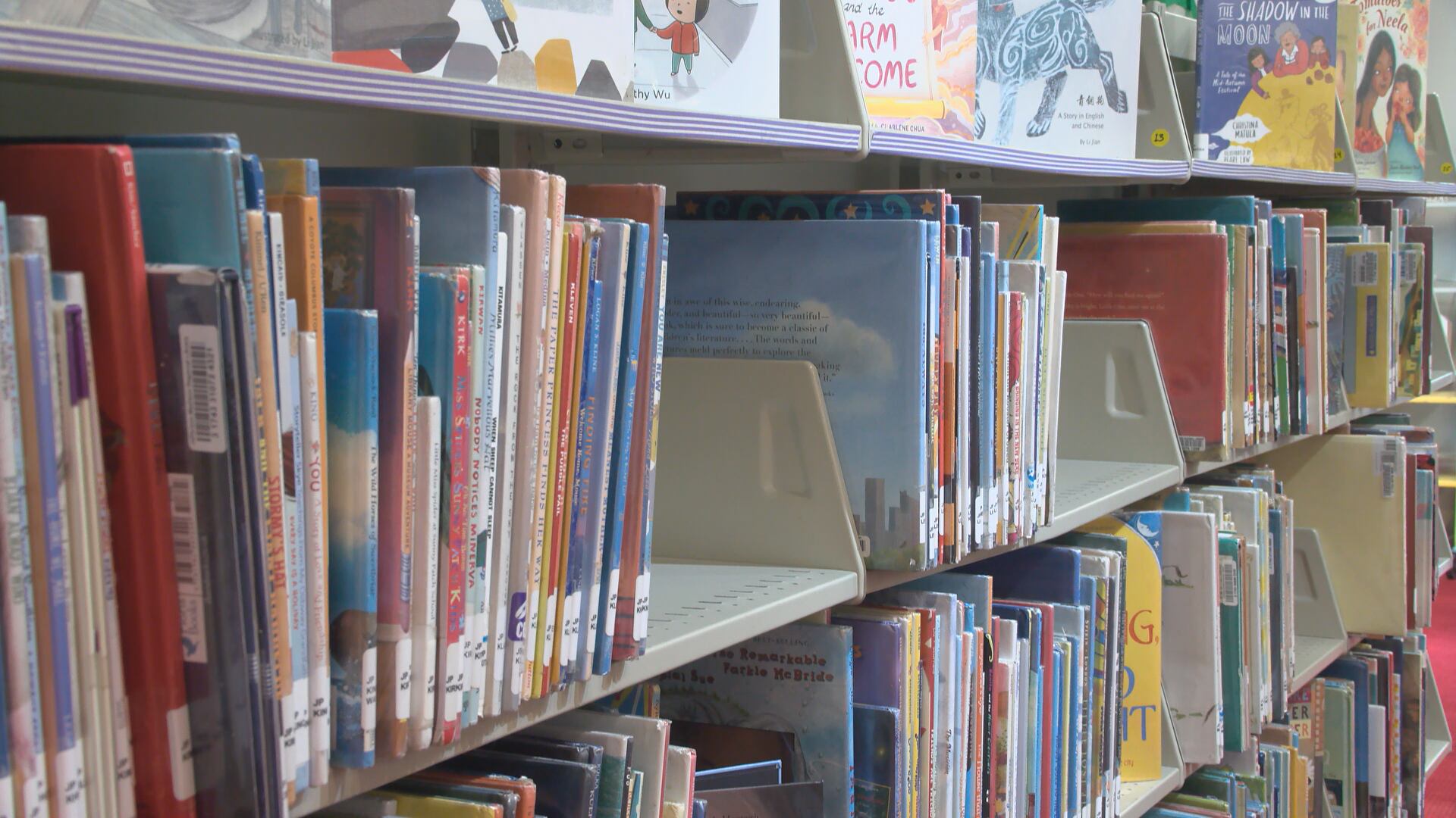 Boyle County summer reading program kicks off with party at public library