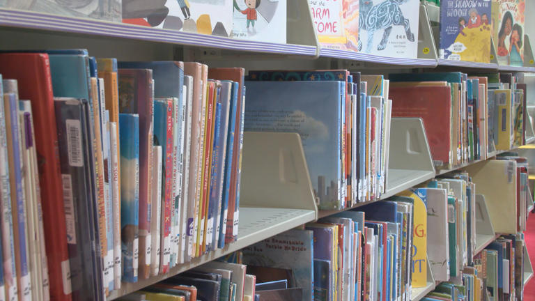 Boyle County summer reading program kicks off with party at public library