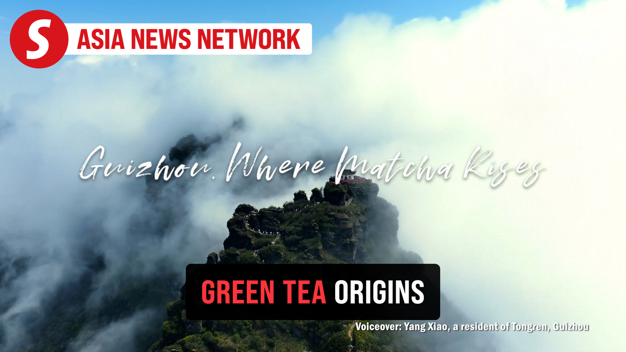 China Daily | Guizhou, where matcha rises