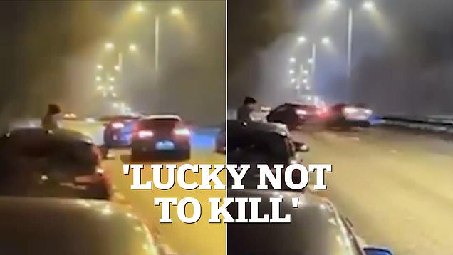 Boy racer causes pile-up leaving two people and a dog injured