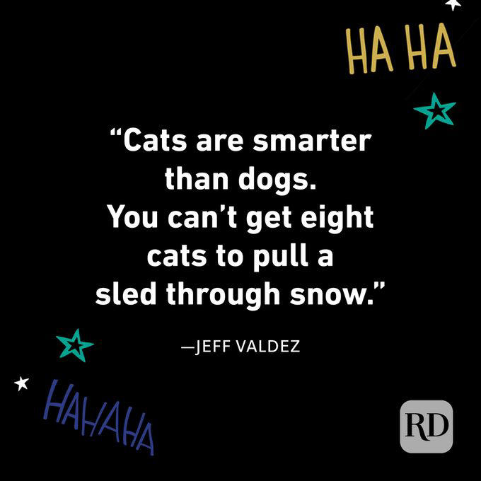 100 funny quotes and hilarious sayings to make you laugh out loud
