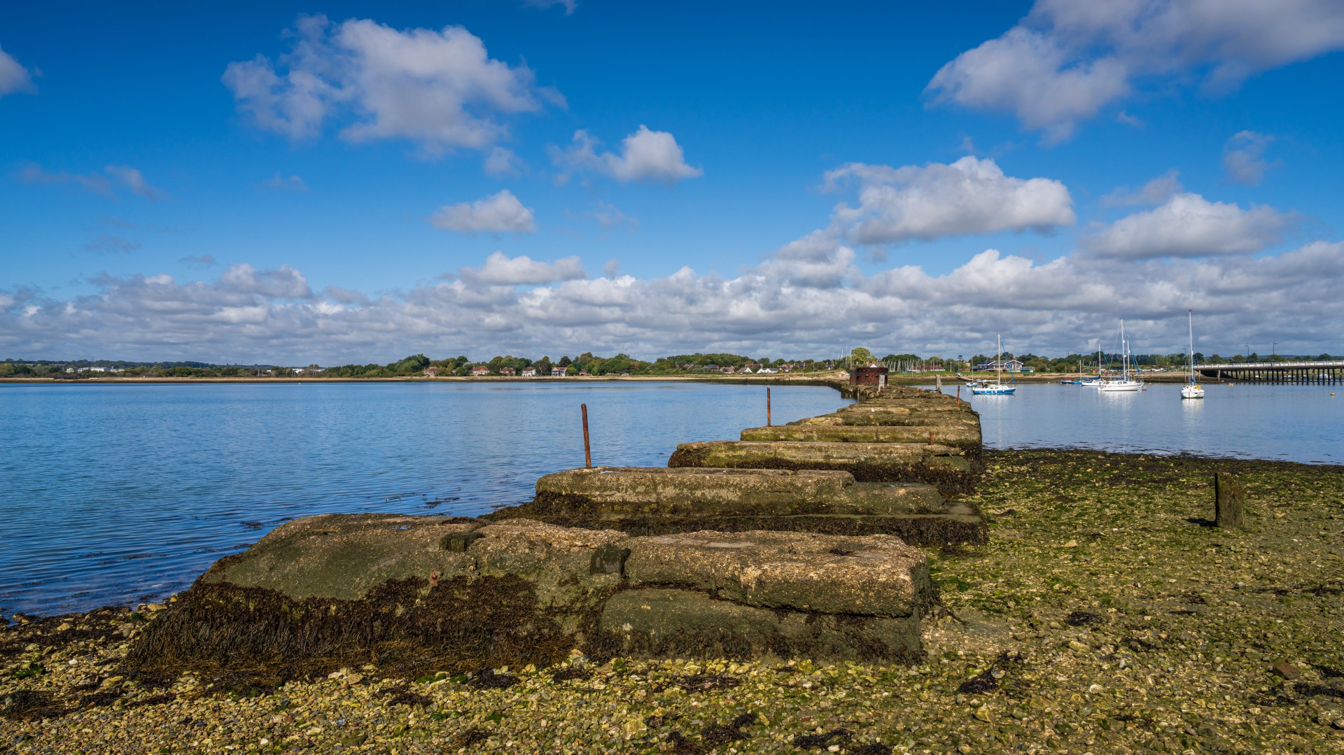 Popular Hampshire coastal path closed for entire summer to stop it ...