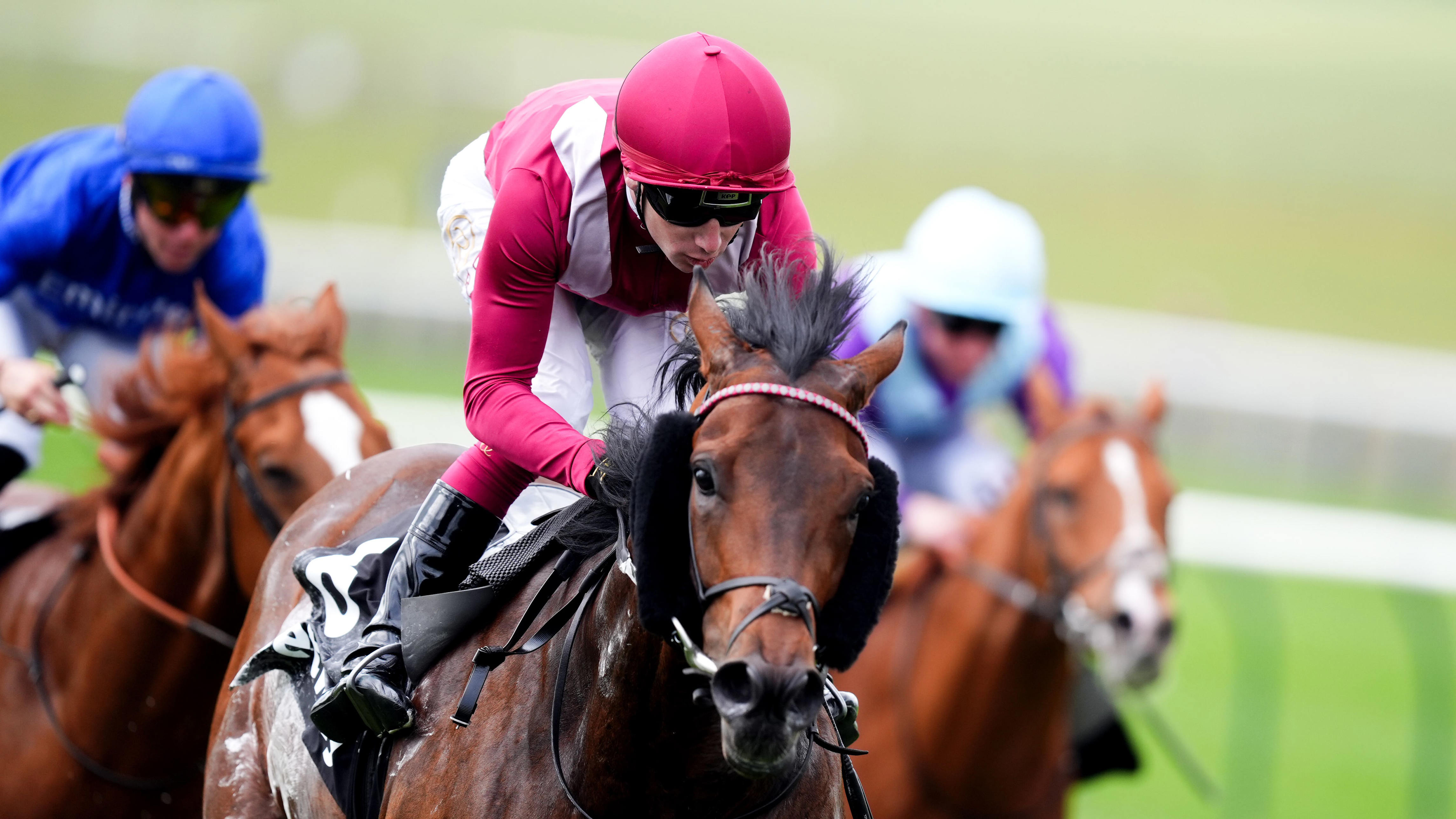 Oxagon supplemented for French Derby