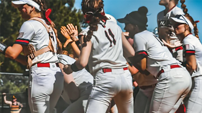 2026 Virginia (VHSL) high school softball playoffs: Brackets, schedules ...