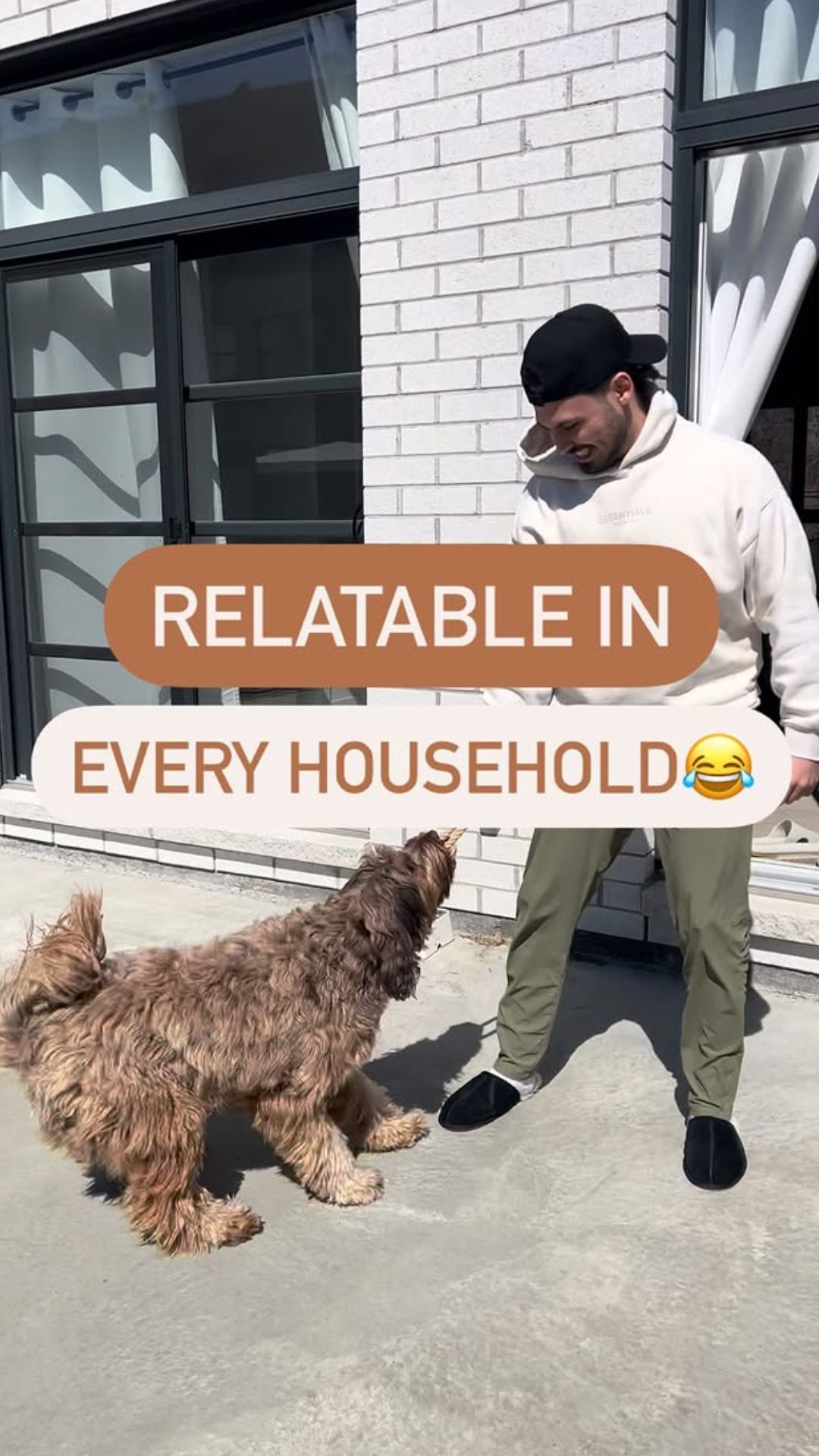 Playtime fun with daddy: Adorable dog moments