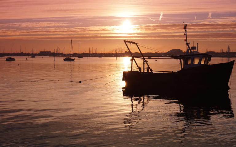 Popular Hampshire coastal path closed for entire summer to stop it ...