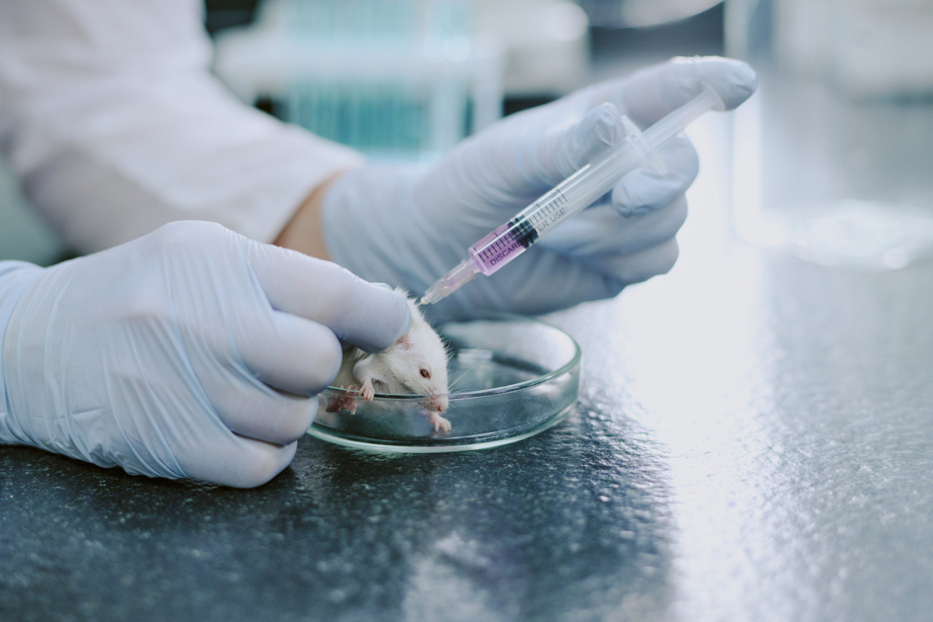 The horrific world of lethal dose animal testing