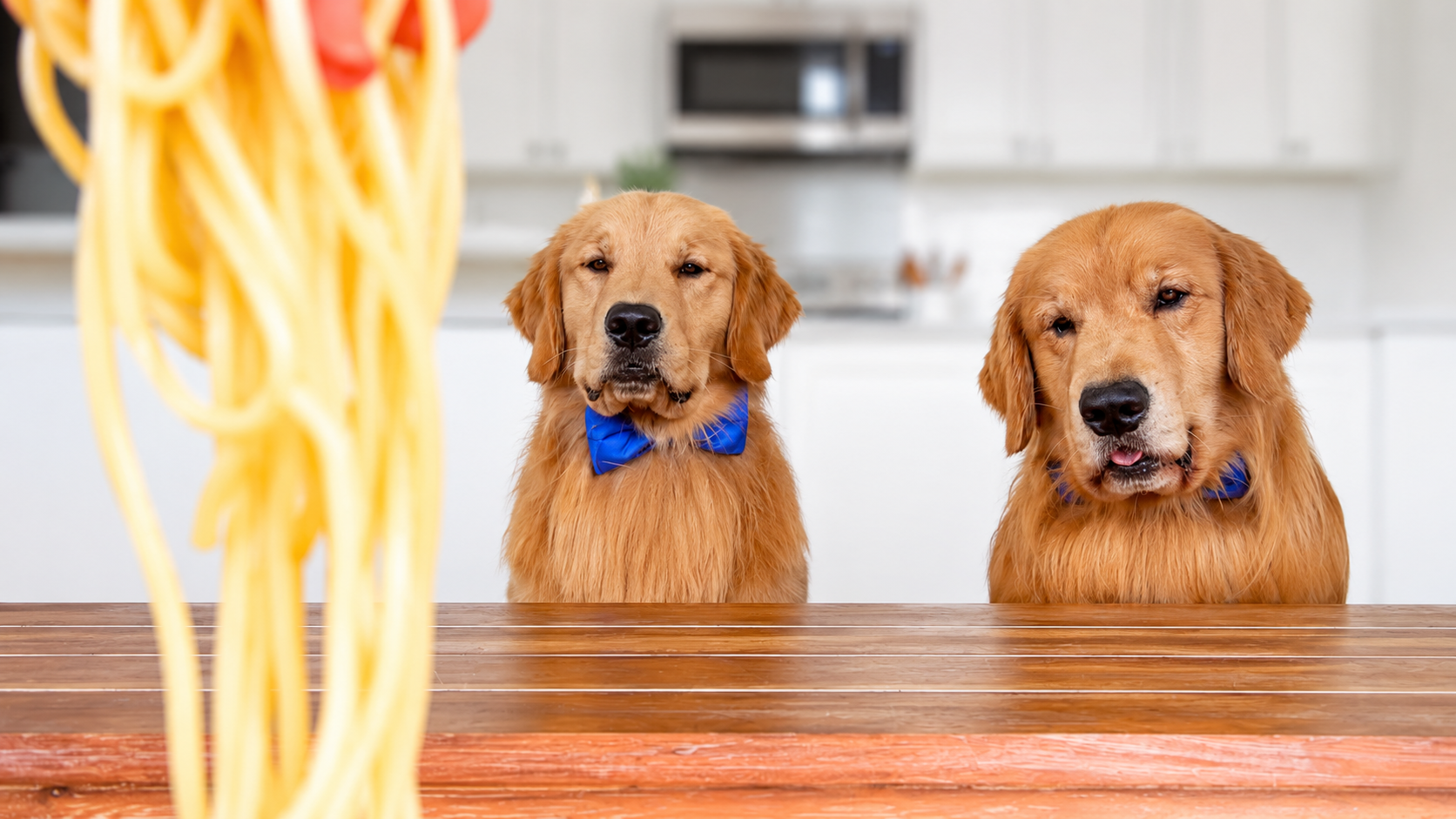 Tucker reviews pasta with his son