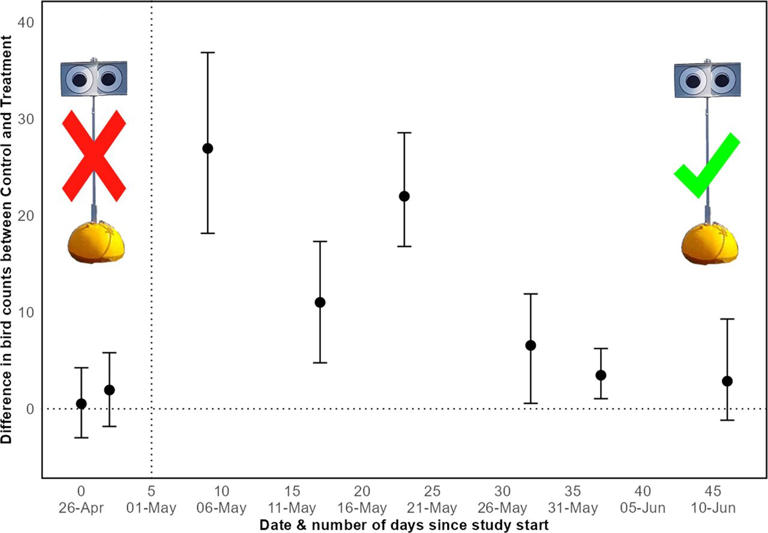 Fake predator eyes scare off seabirds until they learn they're not real