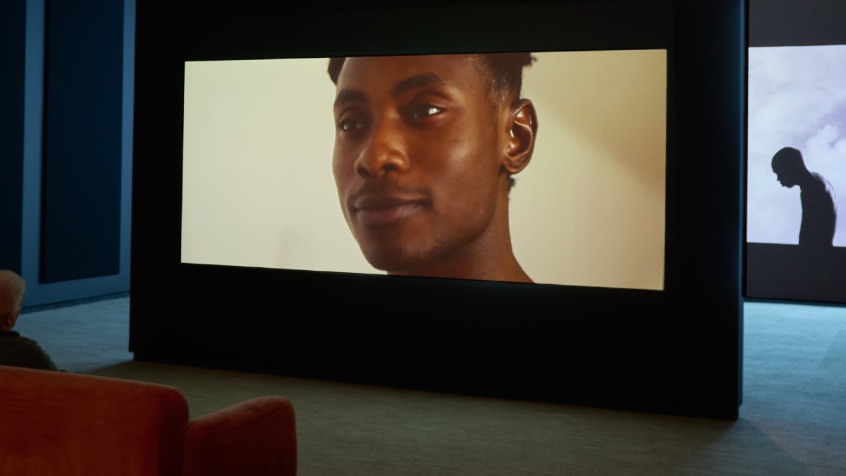 In the face of opposition, the Smithsonian shines a light on queer ...