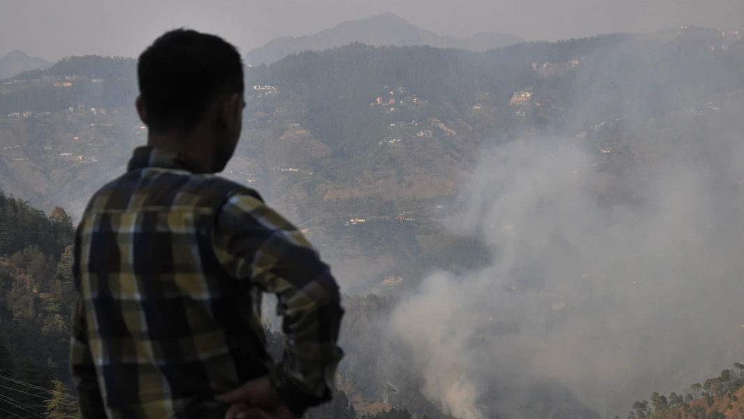 Army and IAF contain major Kasauli forest fire after 15-hour battle