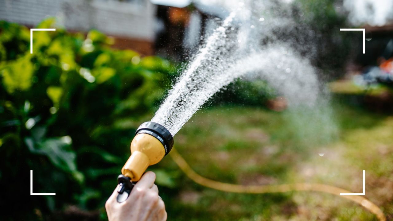 When is the best time to water your garden? Gardening experts weigh in