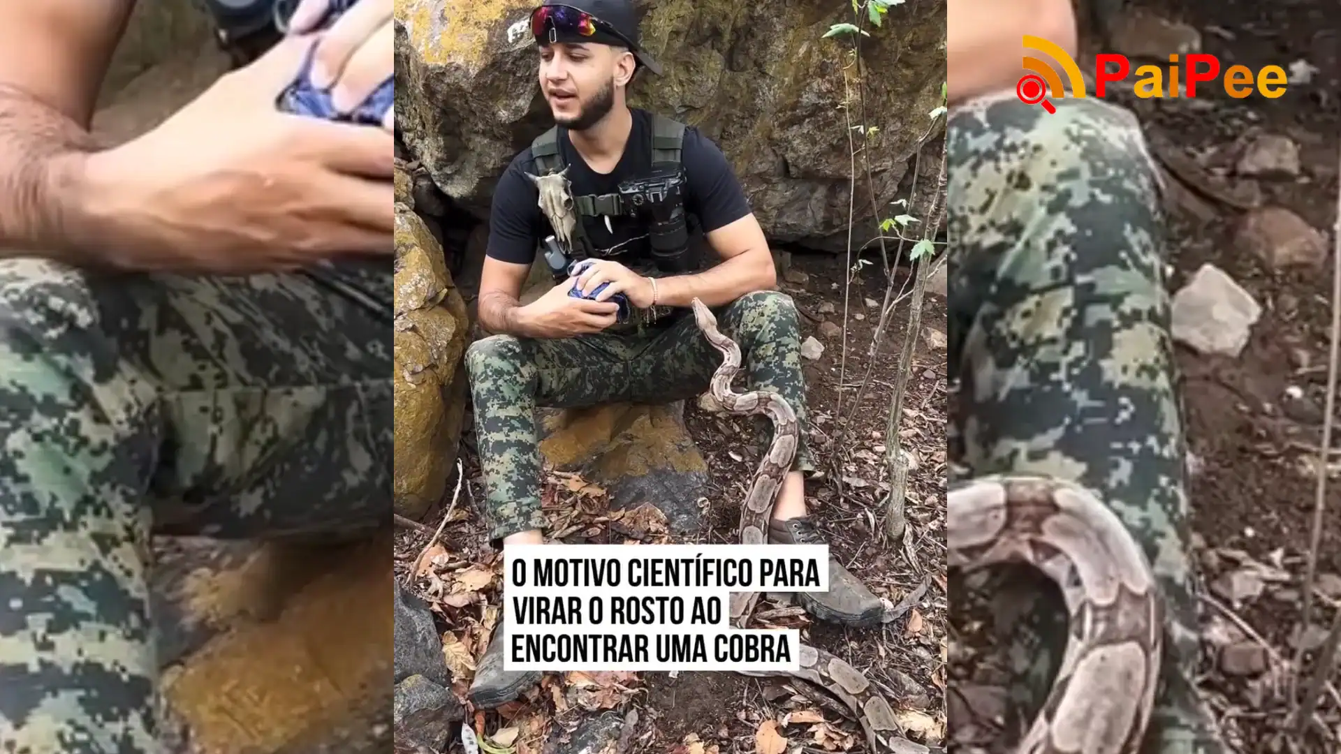 O motivo científico para virar o rosto ao encontrar uma cobra