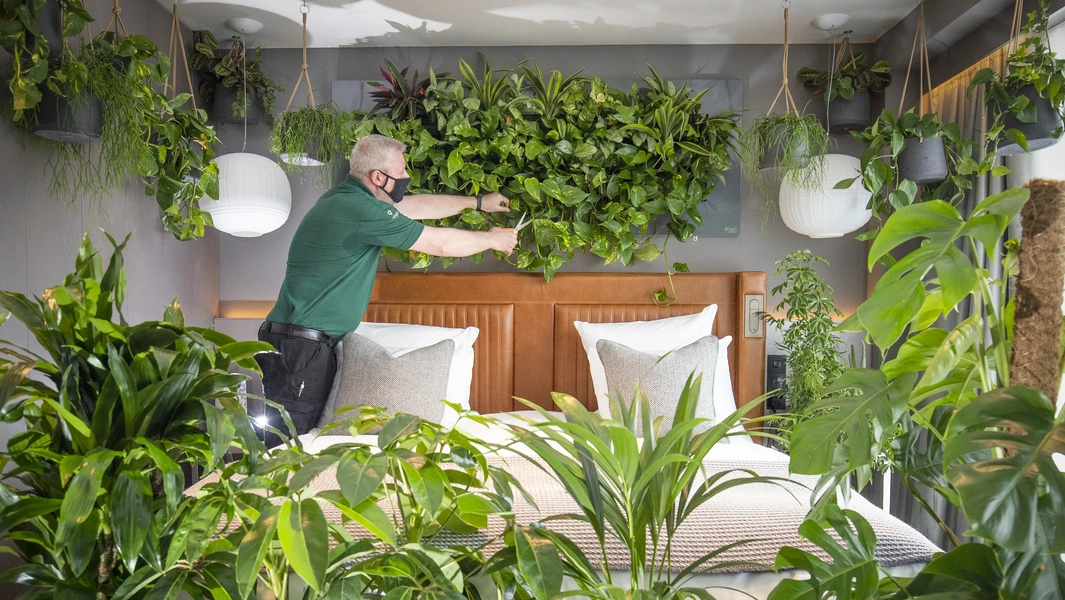 Nature-inspired and nostalgic styles reshape 2026 home design