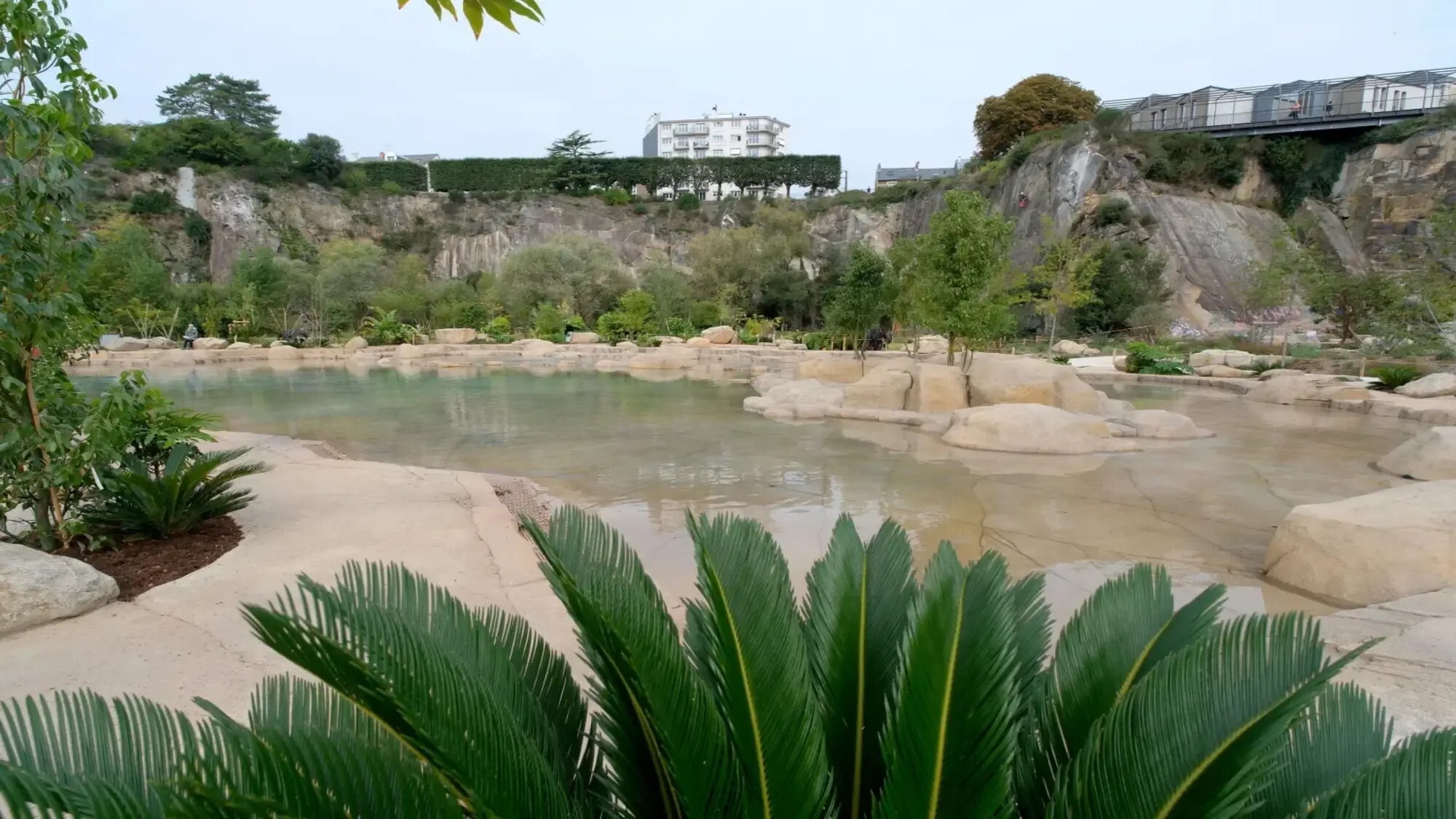 Un bassin naturel de 700m2 avec plage, rouvre bientôt en plein cœur de ...