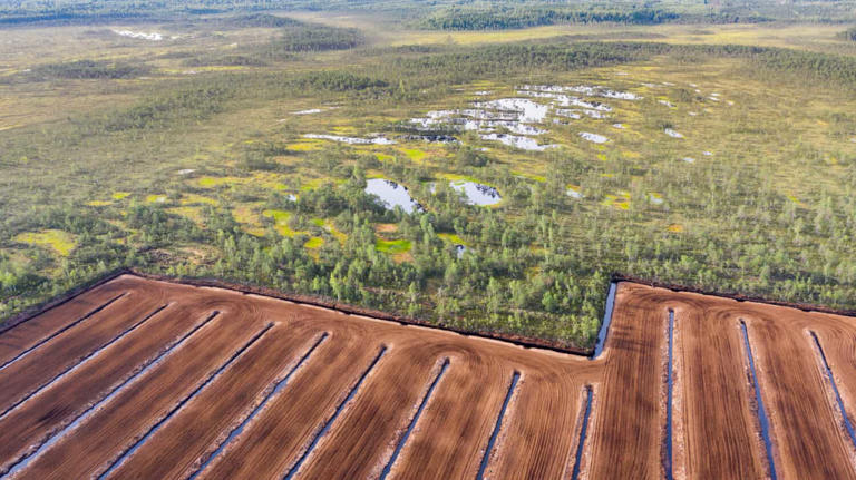 Indigenous lands protect wildlife better than many government parks ...
