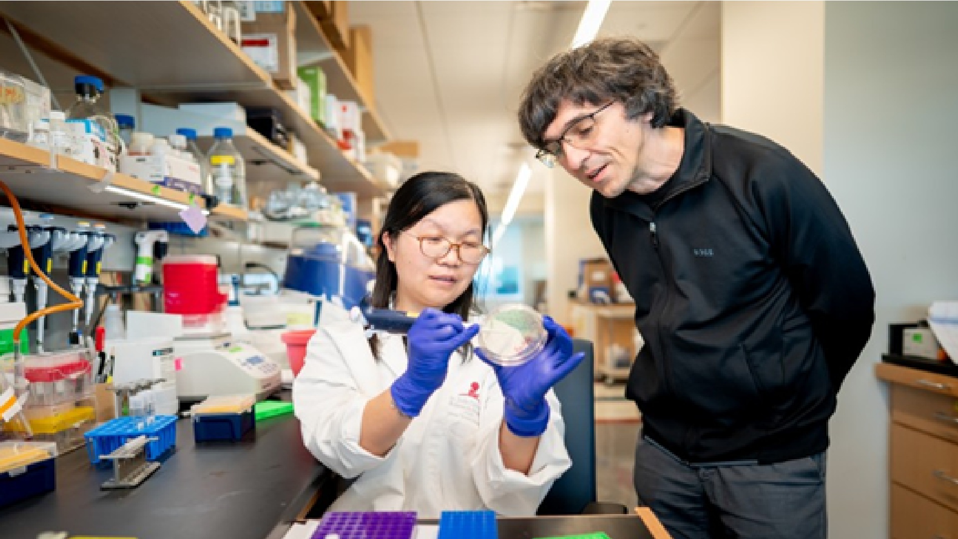 Study reveals how cells spin 'jumping genes' into tight molecular knots ...