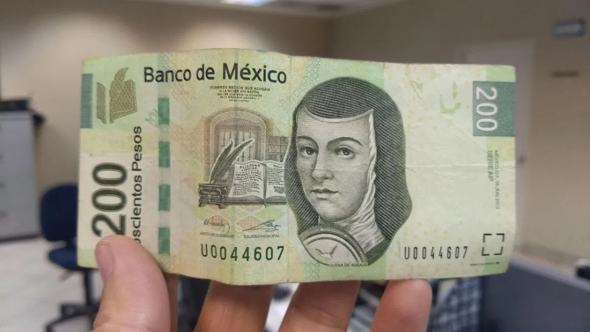 ¿Tu patrón no te dio utilidades en mayo 2026? Guía completa para ...