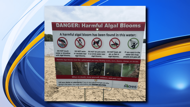 'Harmful' algal bloom leads to Sleepy Hollow beach closure