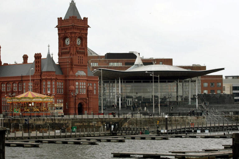 Former Reform UK candidate named adviser to party’s Welsh leader