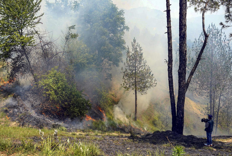 Himachal: Army, IAF contain massive forest fire in Kasauli after 15 ...