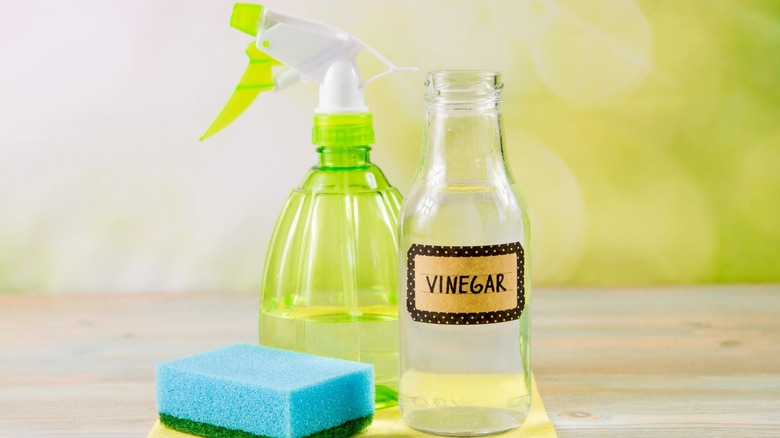 How vinegar can be a versatile cleaning tool