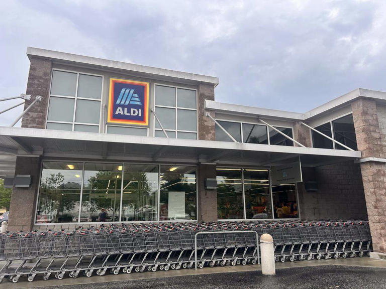 Publix, ALDI, Food Lion & more: See grocery stores with best prices in ...