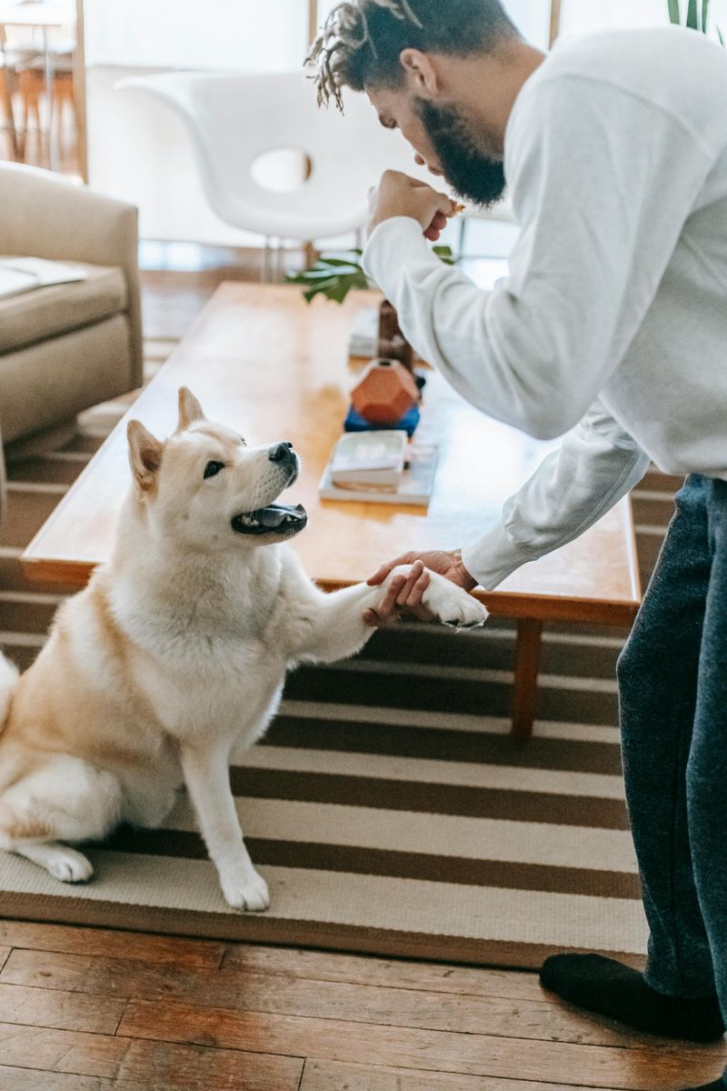 12 strong-minded dog breeds that refuse to be controlled easily