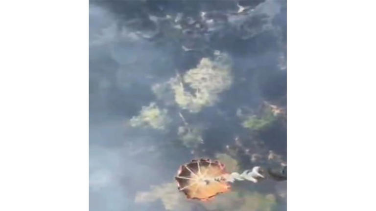 IAF deploys helicopters with 'Bambi Buckets' to fight Kasauli fires