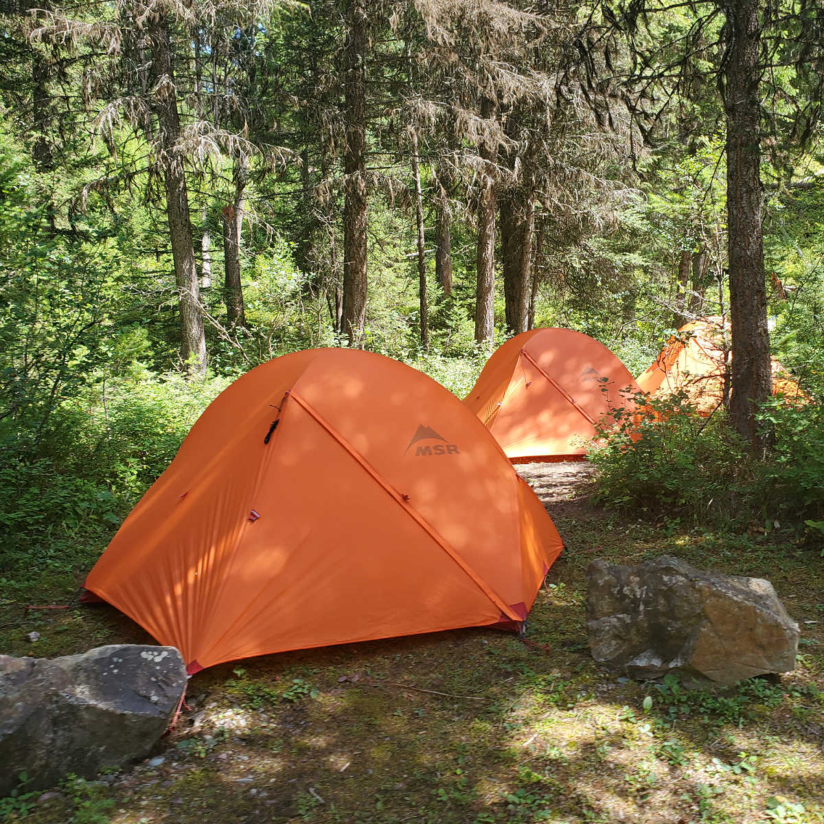 Quartz Creek Campground: Glacier's smallest and most secluded primitive ...