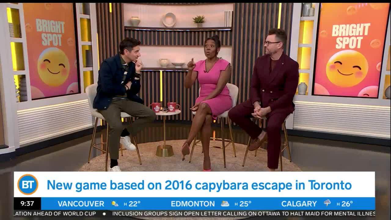 A new game based on the great 2016 cabybara escape is in development