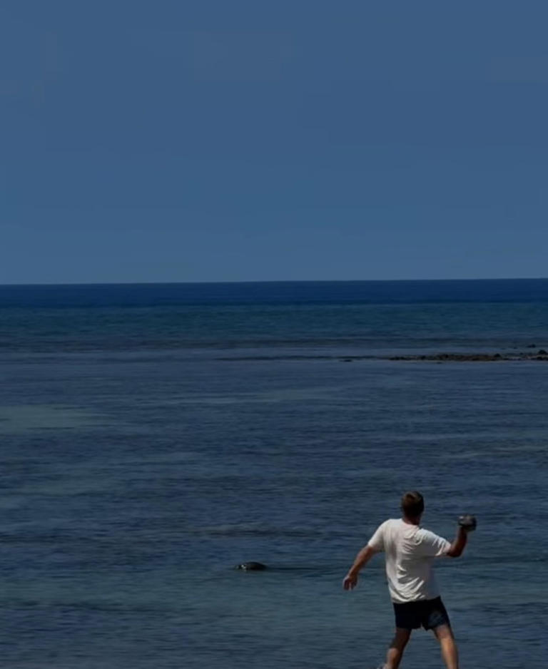 Disgusting package sent to home of West Coast man who hurled huge rock ...