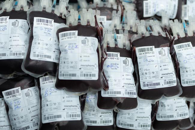 Blood emergency issued in NY and NJ ahead of FIFA games