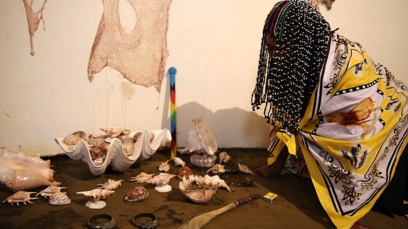 Health committee slams delays in regulating traditional healers